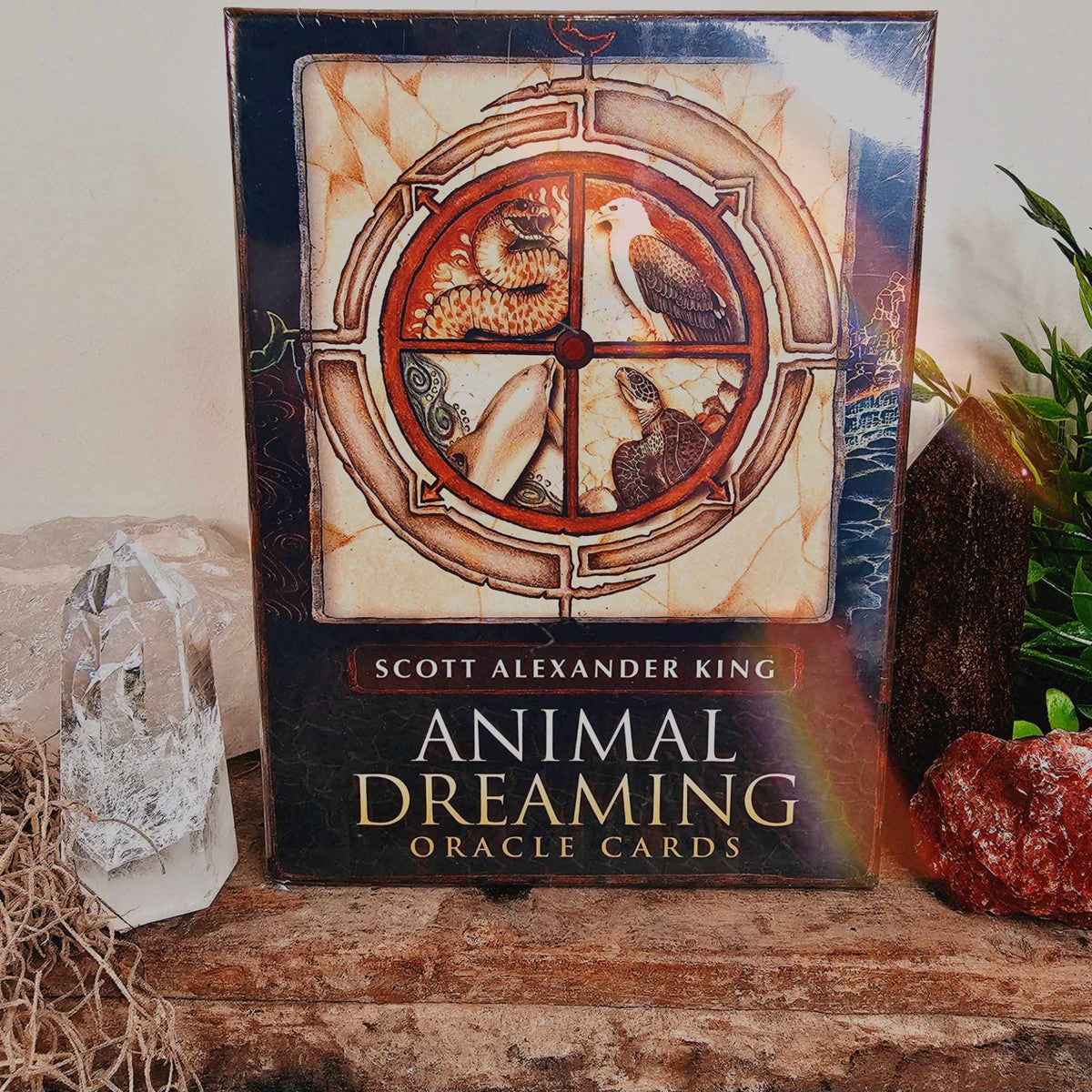 Animal Dreaming Oracle Cards – The Crystal Shop Camden